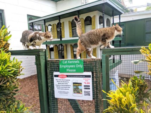 Best Things to Do in Key West - The Flying Couponer